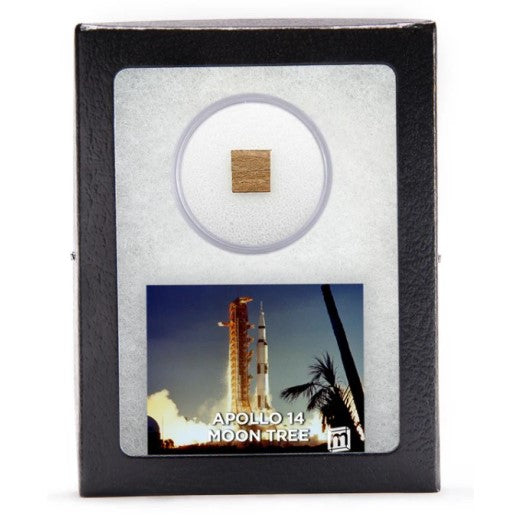 Apollo 14 Moon Tree – Cosmosphere